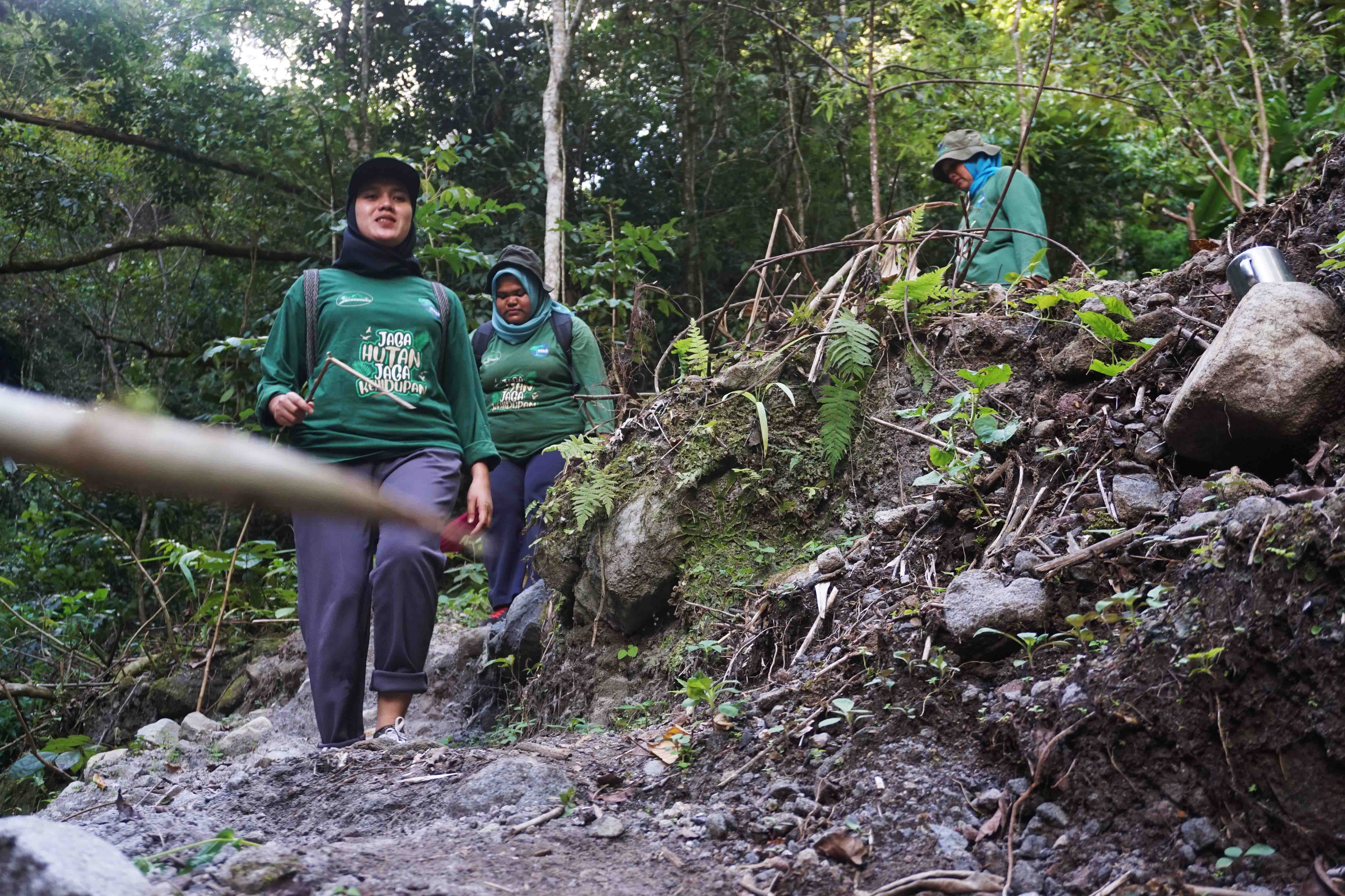 Pelindung Hutan Damaran Baru