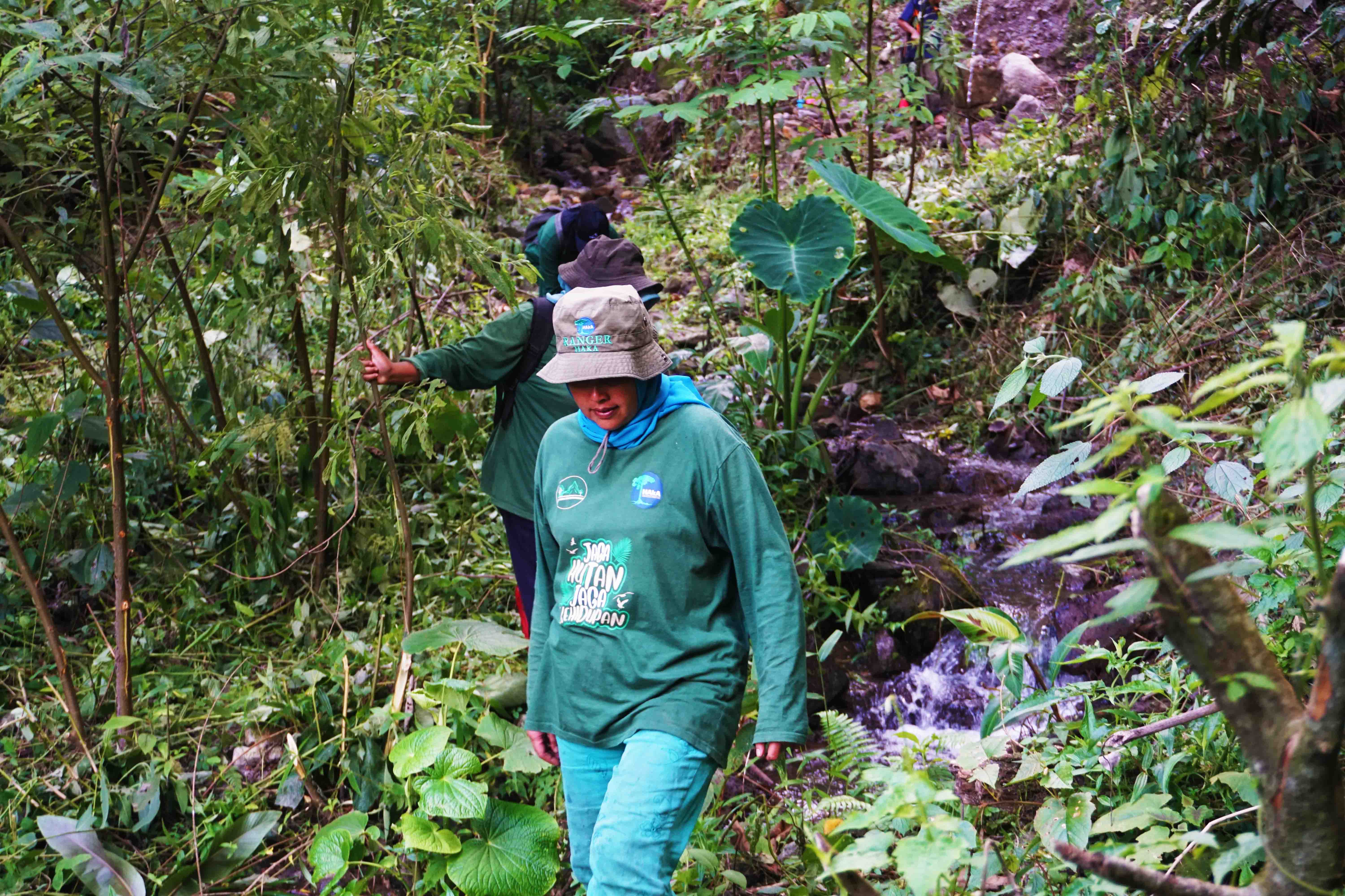 Pelindung Hutan Damaran Baru