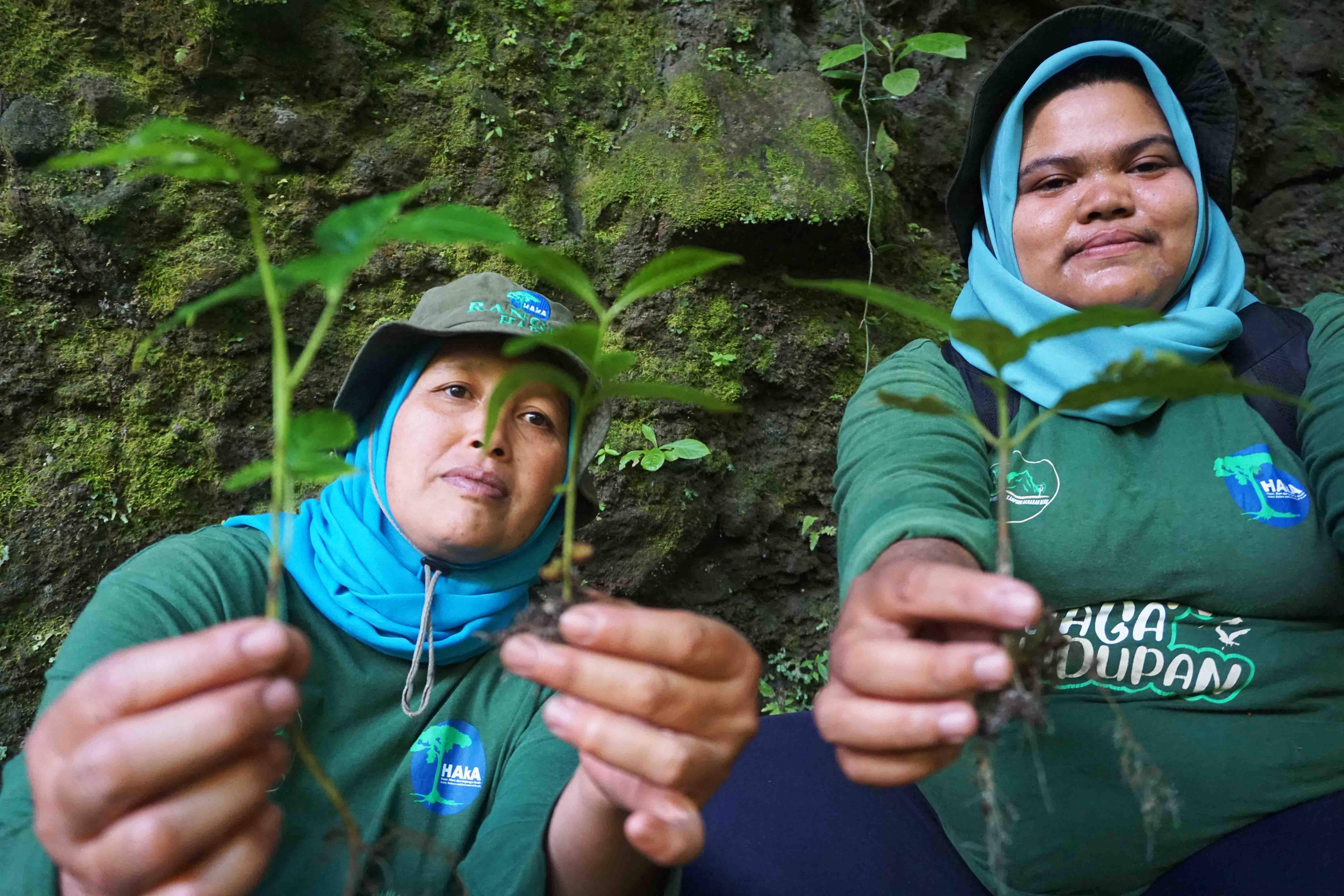 Pelindung Hutan Damaran Baru